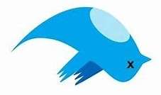 Social media future for naturism - zjuzdme.org